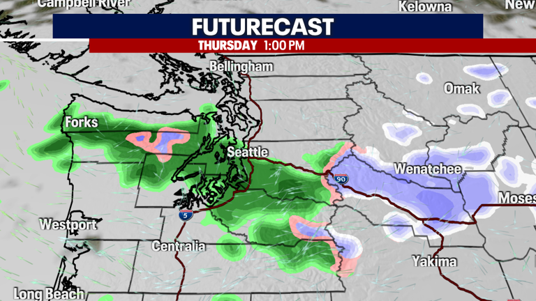 Seattle weather: Dense fog overnight, rain returns for New Year's Day