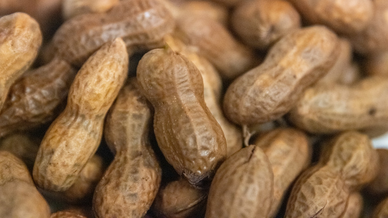 The only type of peanuts you should be using for boiled peanuts