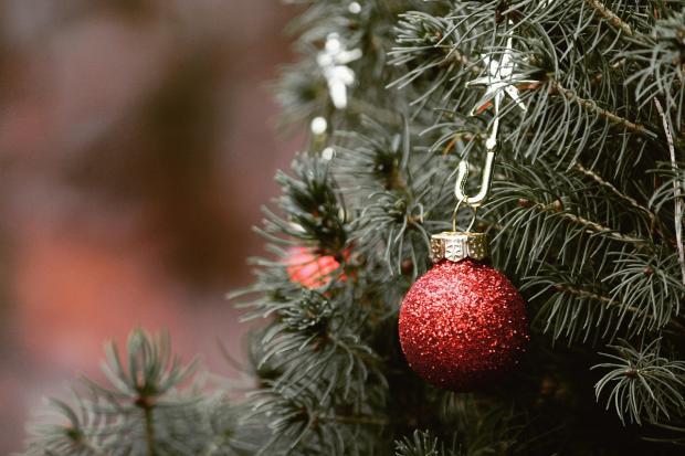 Here's where to drop off your Christmas tree
