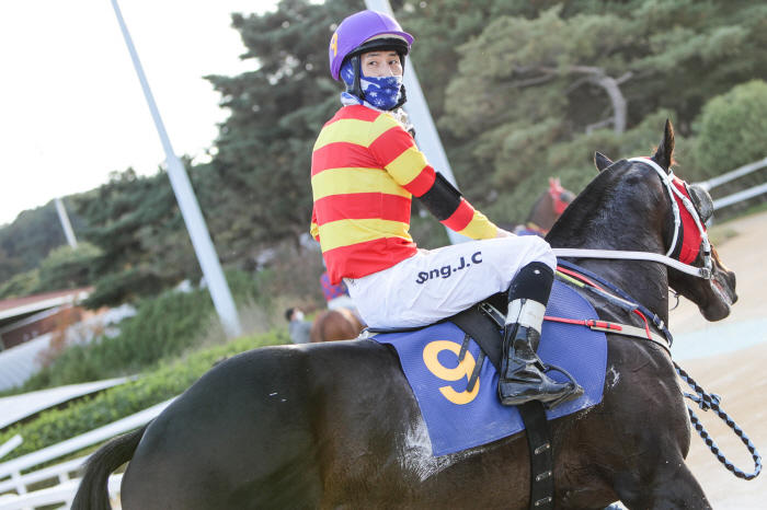 2026, Year of the Red Horse, Meet the Horse Teacher and Rider to Run Again