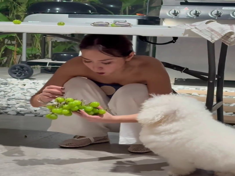 12 grapes under the table ritual: The New Year’s eve trend taking over ...