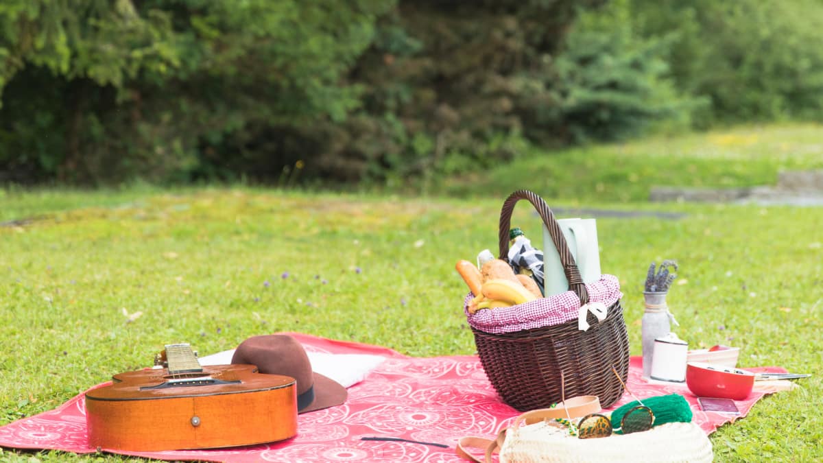 New Year 2026: 6 picnic spots in Delhi to celebrate the first day of ...