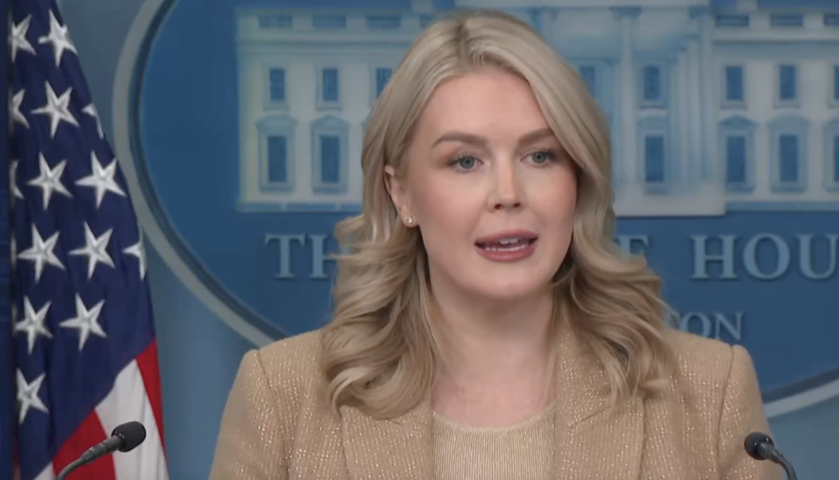 'He has stopped the endless checks': Karoline Leavitt celebrates the ...