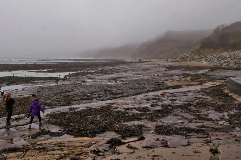 A Stroll With Stu: Walk around Robin Hood's Bay ends with glassed ...