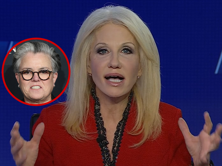 Kellyanne Conway says lesbian comedian Rosie O'Donnell 'needs a husband'