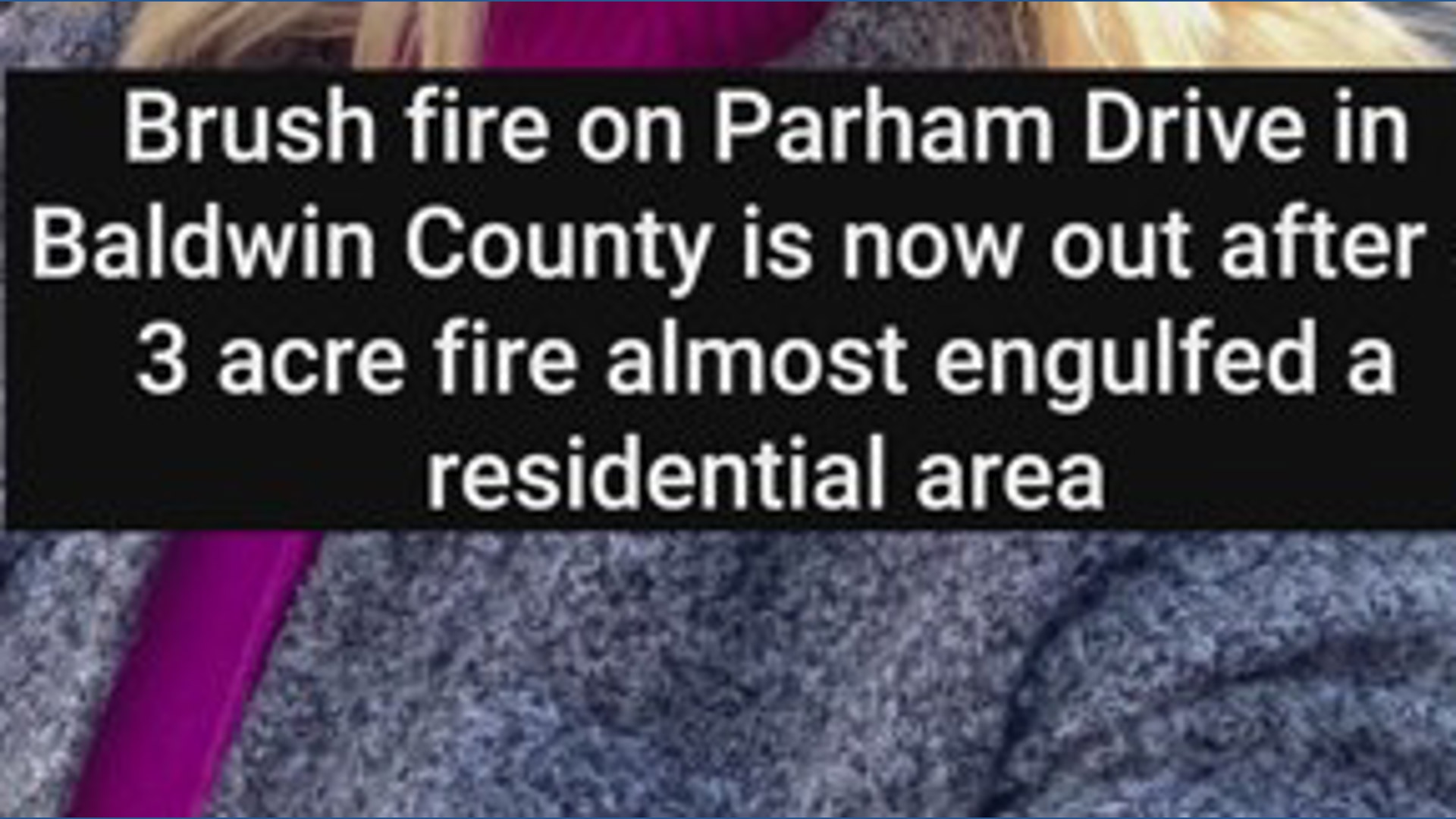 Brush fire on Parham Drive in Baldwin almost engulfs homes