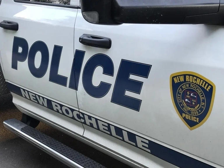 Report about couple stealing license plates leads to stolen cars ...