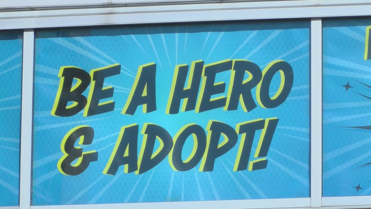 Arkansas DHS marks foster care decline with New Year’s Eve event