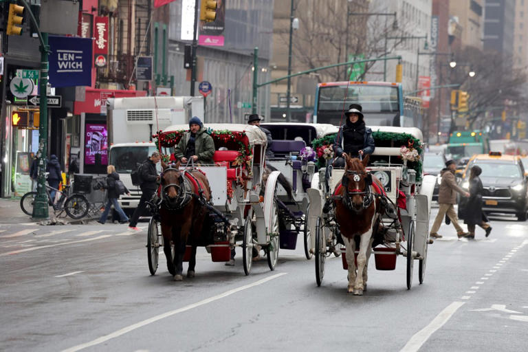 NYC’s horse carriages must get city vet inspection or have license ...