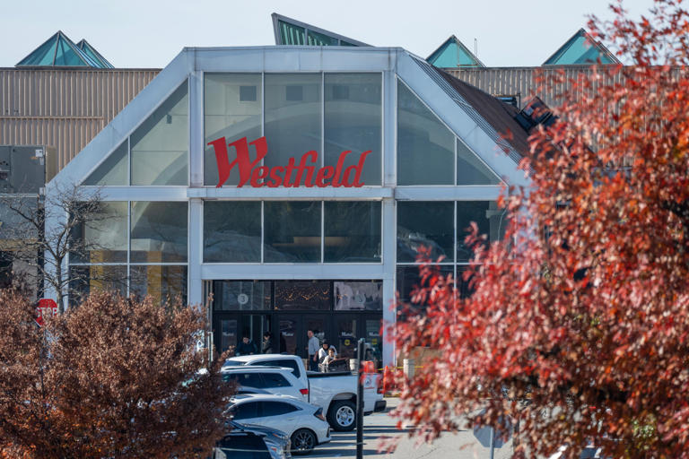 Newark teenager accused of brandishing gun at Garden State Plaza