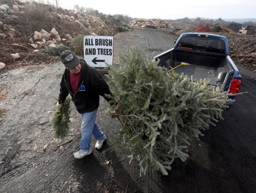 Where to recycle your tree in Pueblo and Colorado Springs