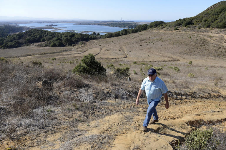 Dan Haifley, Ocean Currents | Mark Silberstein’s 42 years at Elkhorn Slough