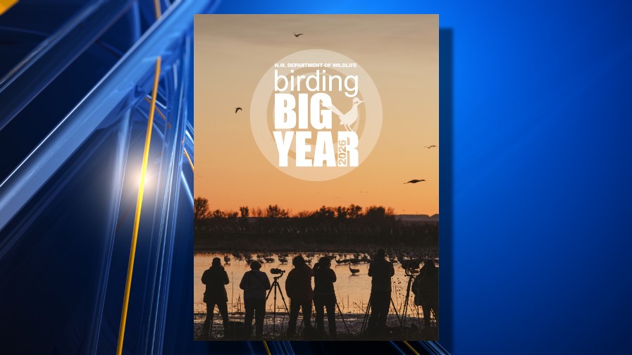 Can you spot over 500 bird species in New Mexico during Birding Big ...