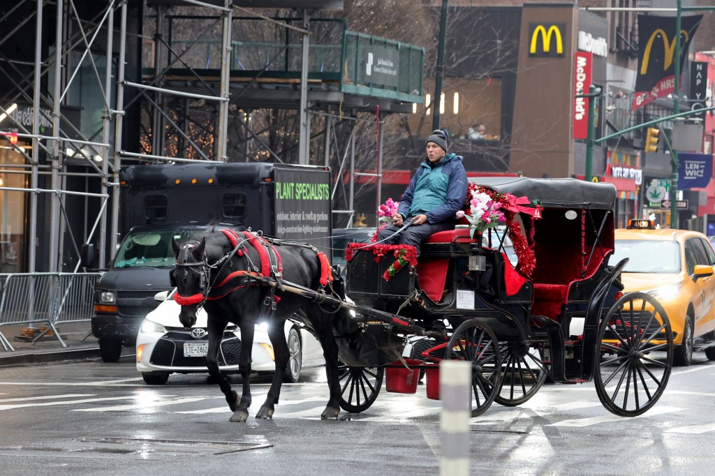 NYC’s horse carriages must get city vet inspection or have license ...