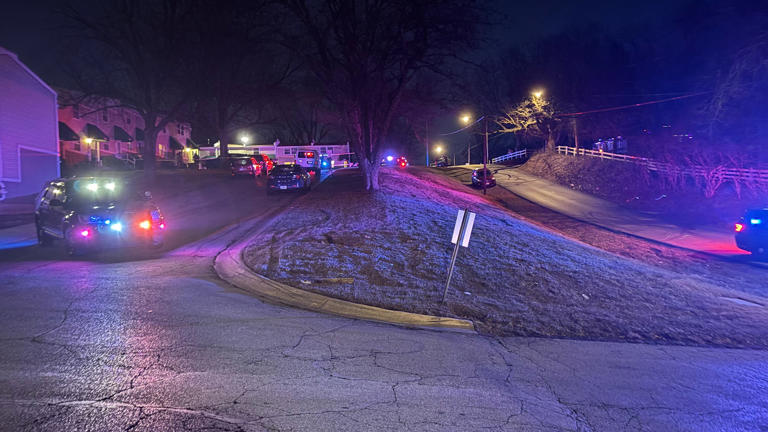Two teens shot after disturbance between 'several armed juveniles' at ...