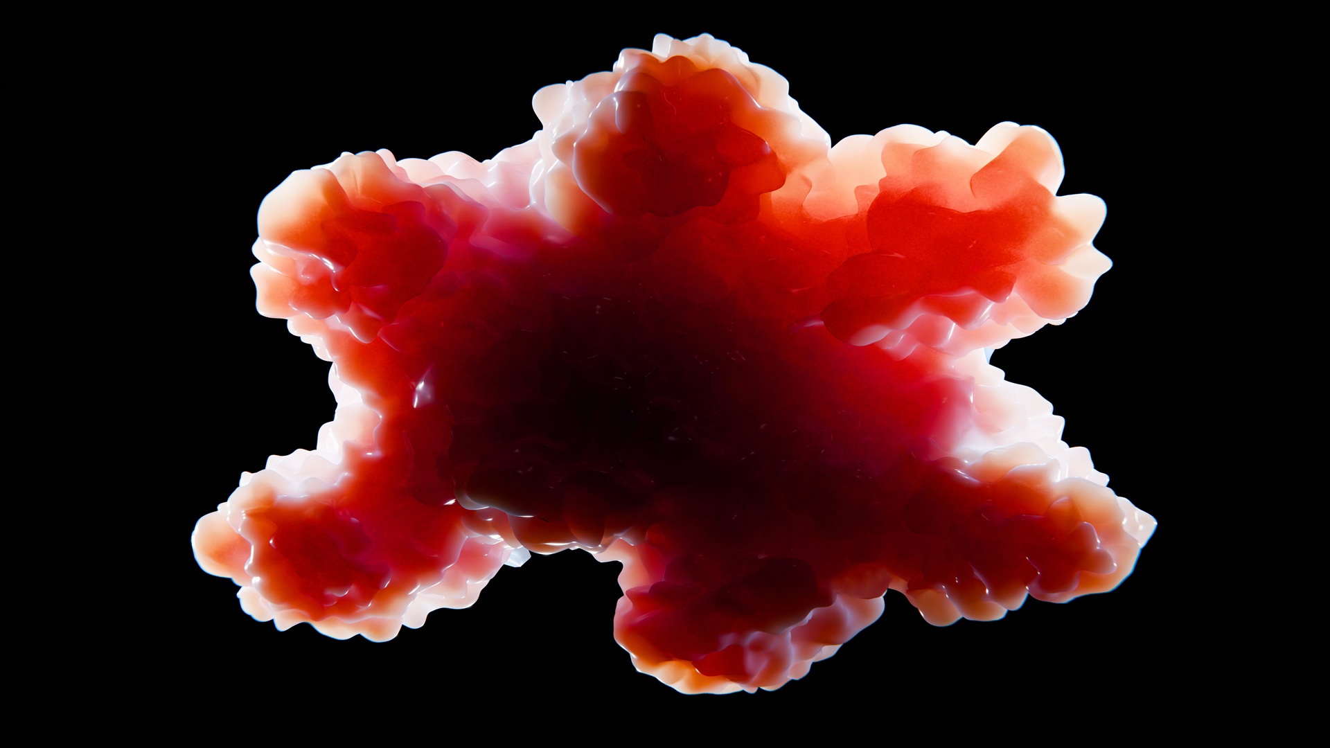 Human fat creates organoids for bone marrow, neural tissue, and insulin ...