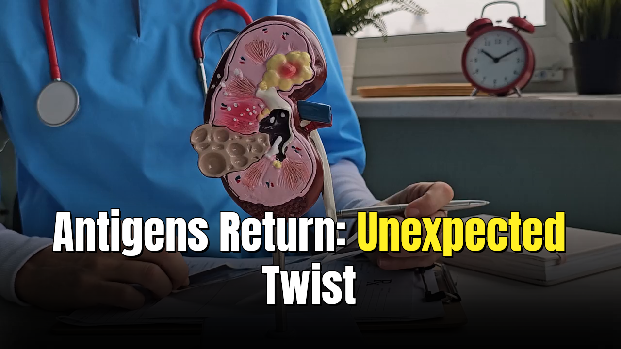 Scientists convert type A kidney to type O for first human transplant