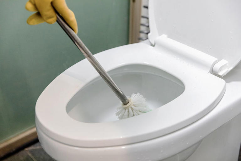 How to remove unsightly hard water stains from a toilet