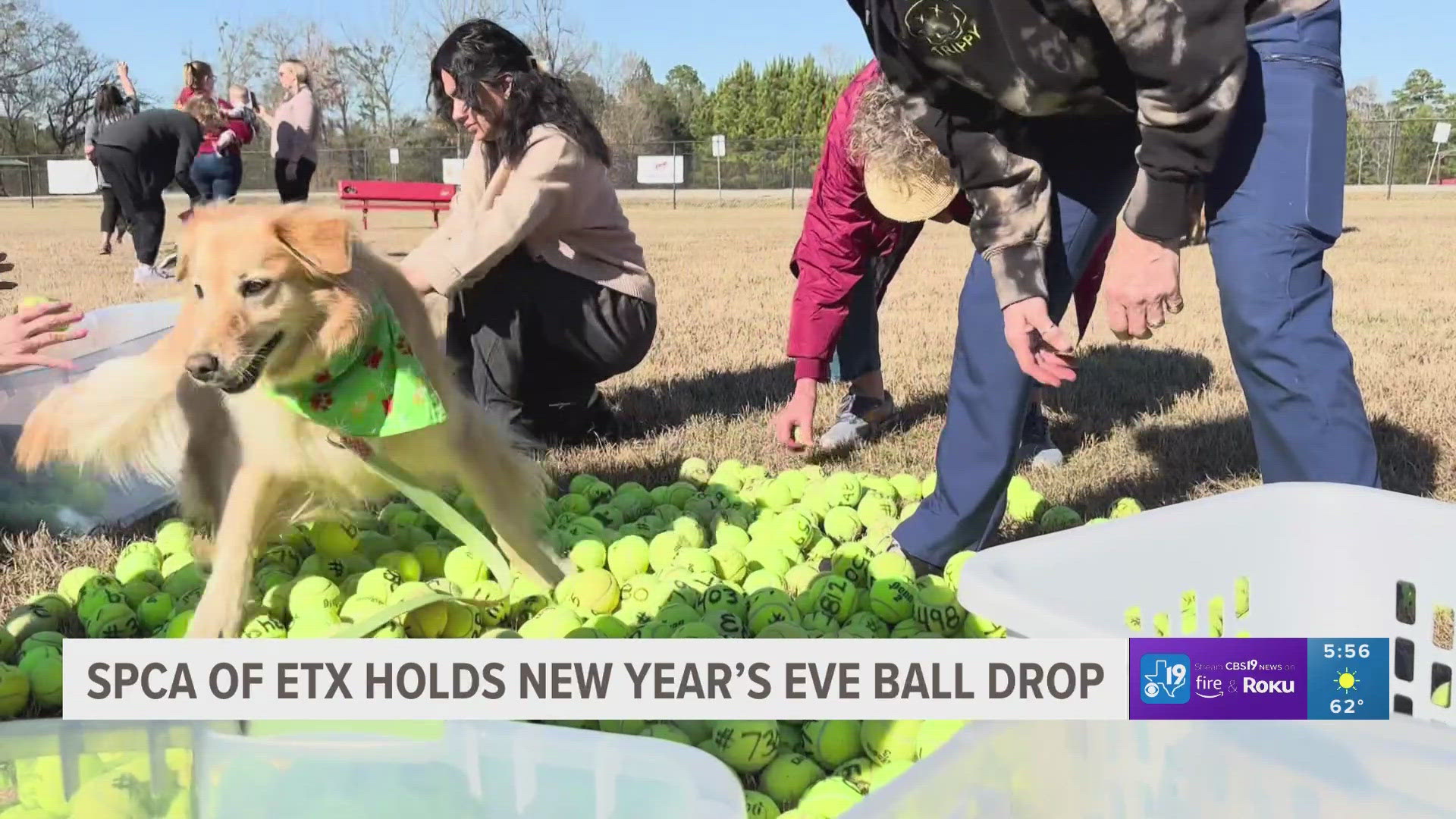 SPCA of East Texas hosts New Year's Eve ball drop