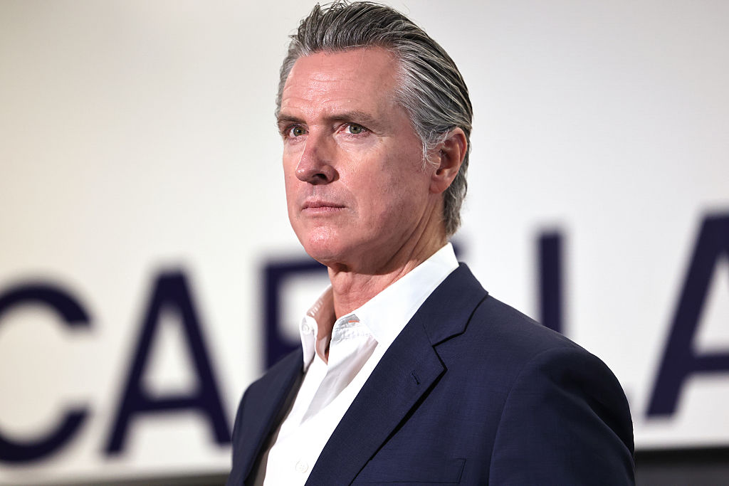 Democrats praise off-year election wins