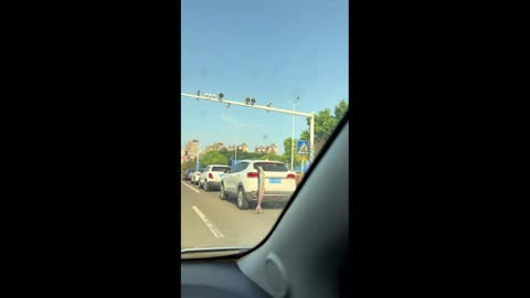 China: Driver tows giant fish through city street