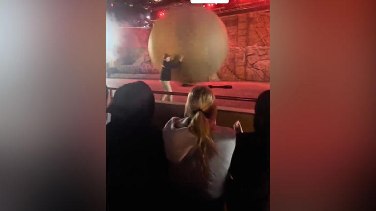 Disney cast member stops massive 'boulder' rolling into audience