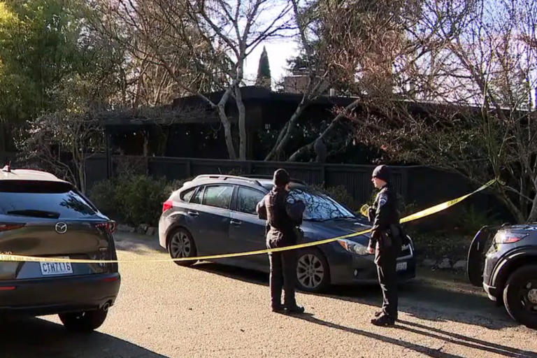Artist, 80, two sons among four dead in triple murder-suicide in ...