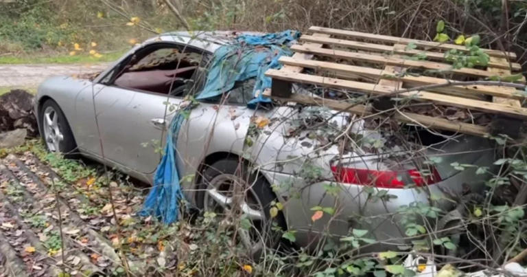 Il trouve une Porsche engloutie par la végétation près d'un manoir ...