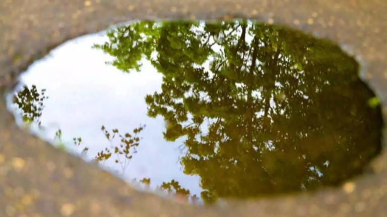 Curiosity corner: Why do we see our reflection in water?