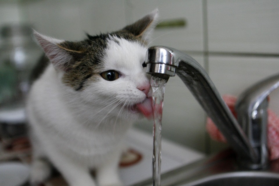 1 stycznia 2026: noworoczna awaria wodociągowa pod Wałbrzychem. Gdzie i ...