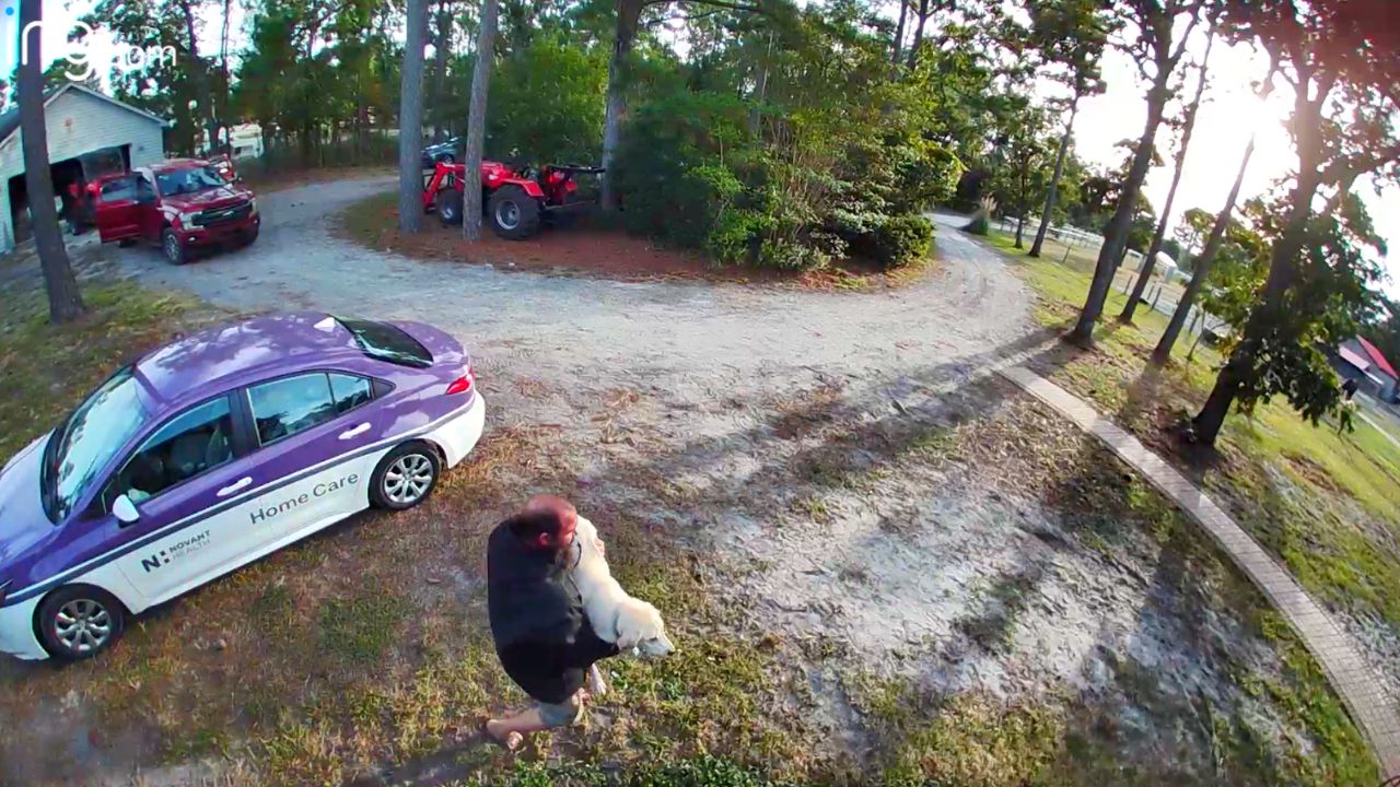 House camera captures moment lost family dog finds its way home ...