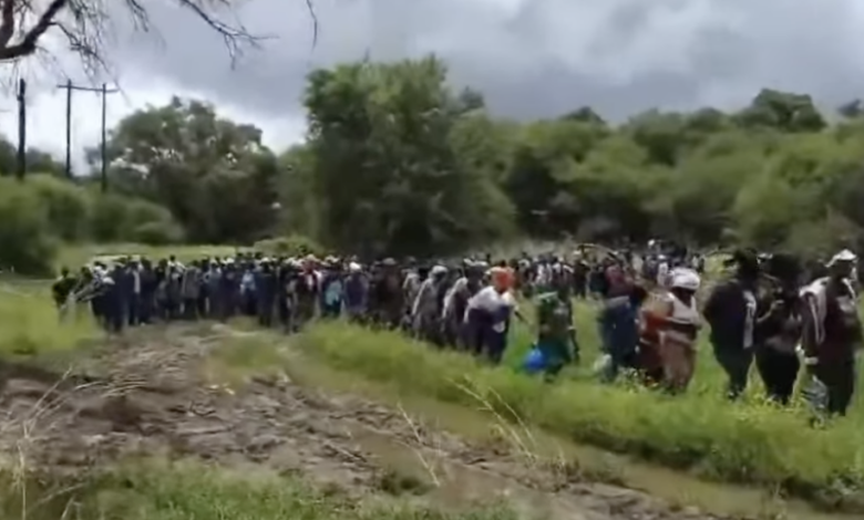 Over 6,000 undocumented migrants intercepted