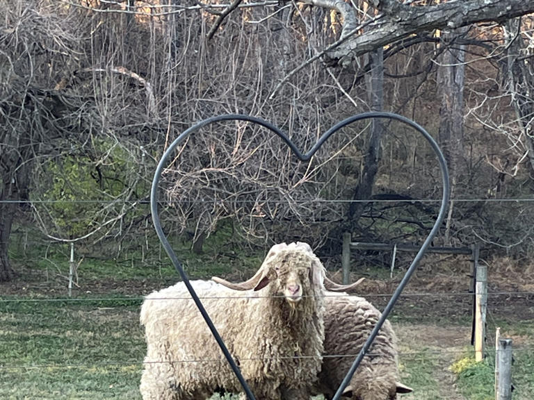 Post Local reader photos: Holidays, frost and dramatic skies