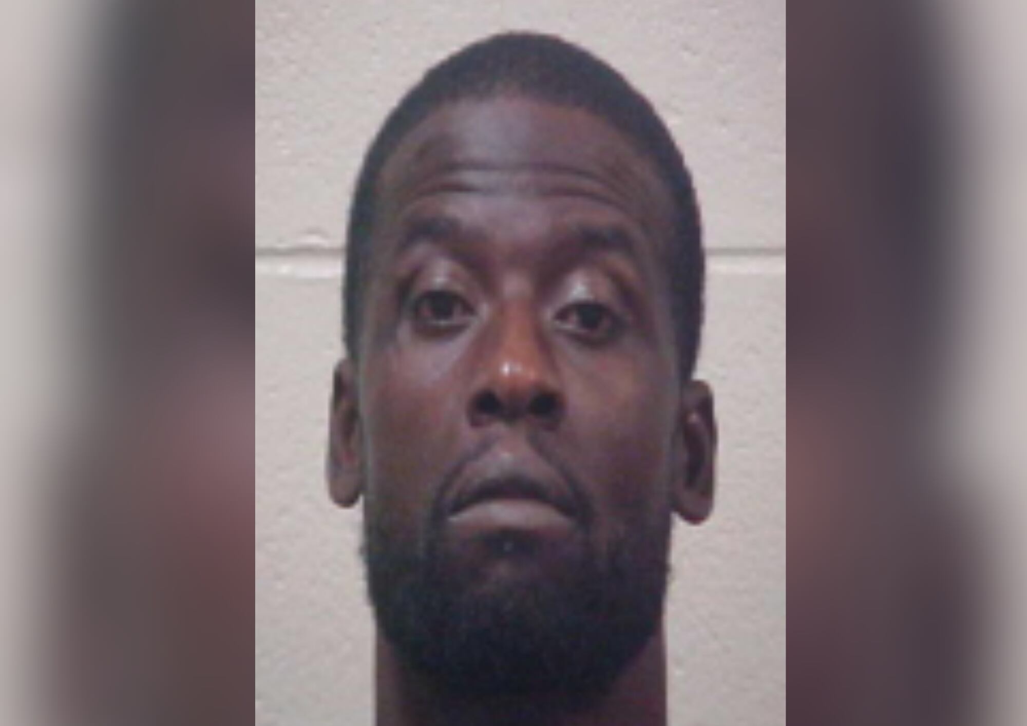 Update: Greenville man charged with firearm possession, resisting ...