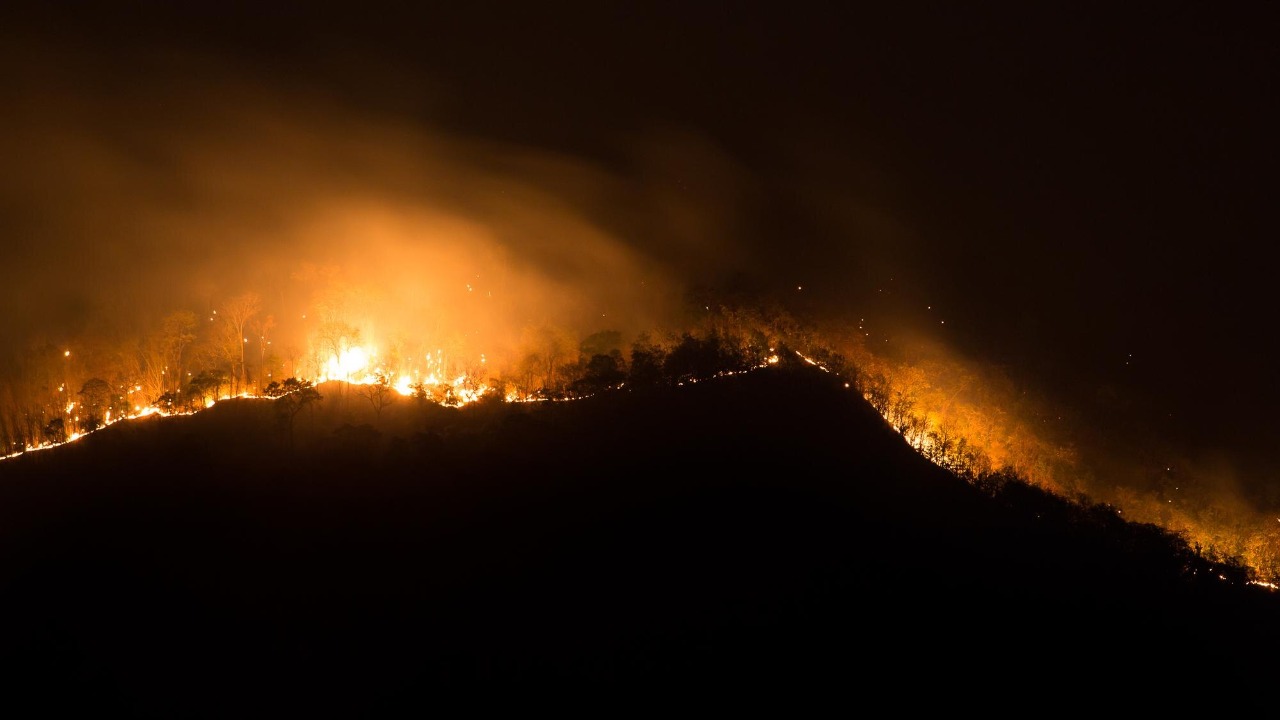 New wildfire smoke particles absorb more light than expected, study finds