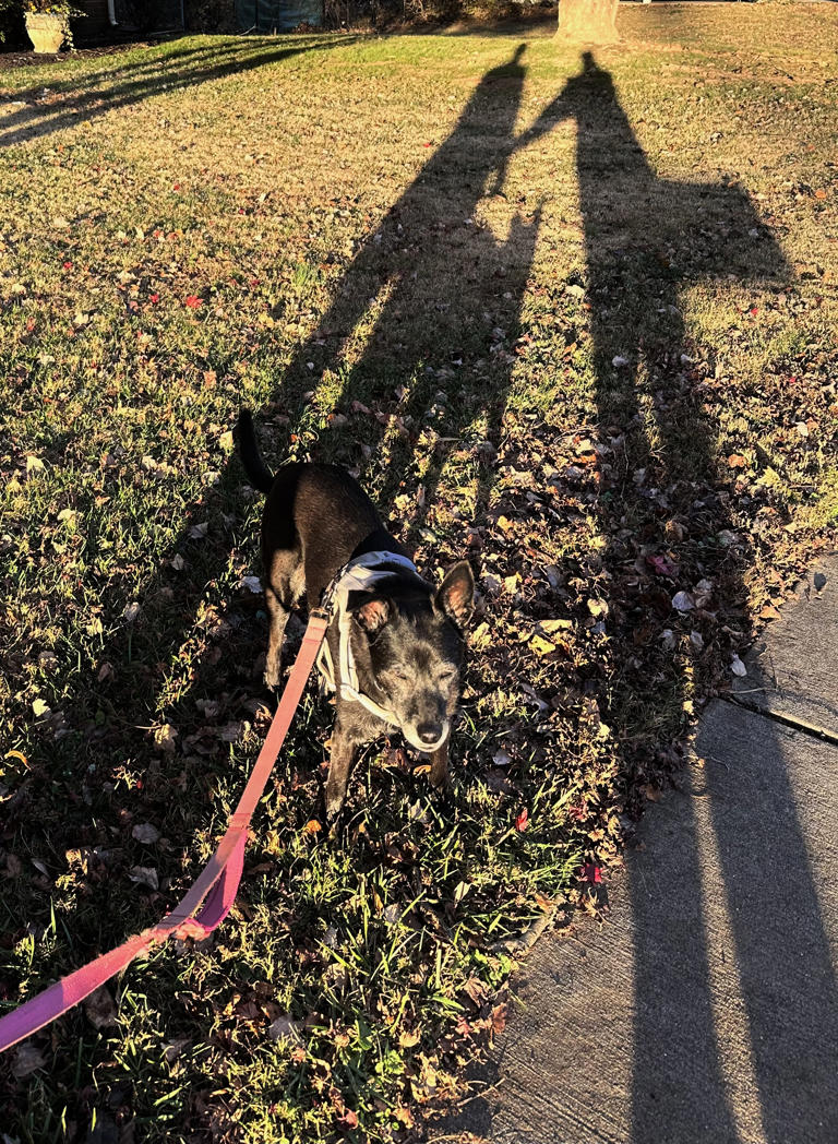 Post Local reader photos: Holidays, frost and dramatic skies