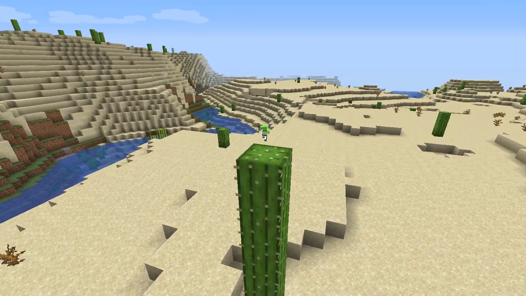 Minecraft speedrun from a cactus