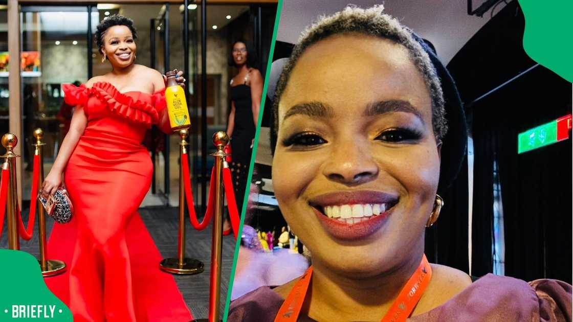 "He fear nothing": Durban dog's reaction to fireworks leaves Mzansi ...