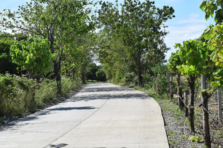 Central Luzon gets biggest farm-to-market roads budget in 2026