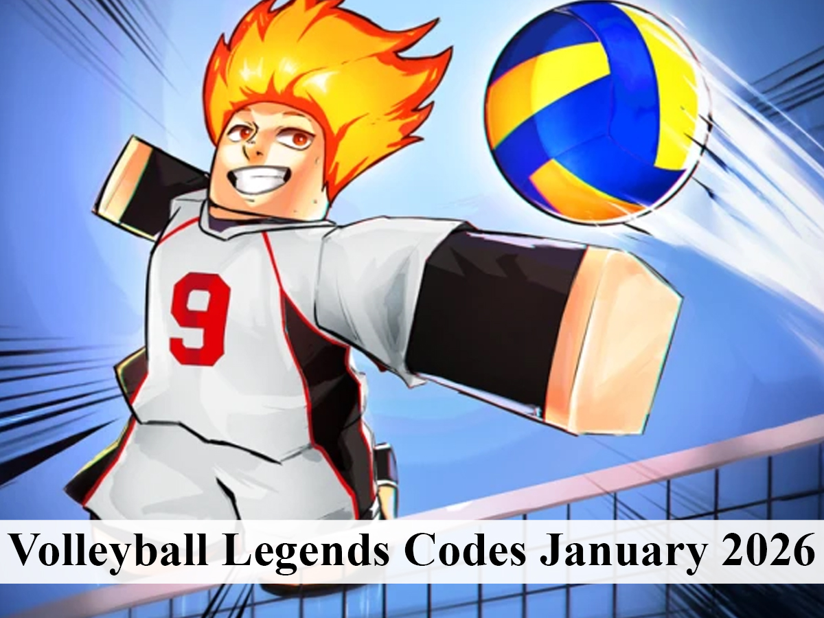 Volleyball Legends codes January 2026: Check list of active codes ...