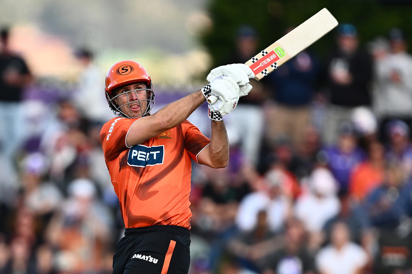 BBL to introduce 'designated hitter' for batter who won't have to field