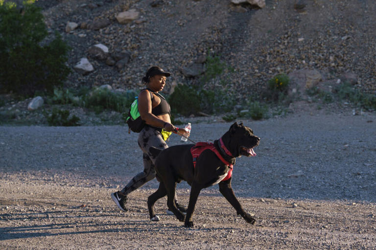 El Paso records its third-warmest year ever in 2025 as rising heat ...