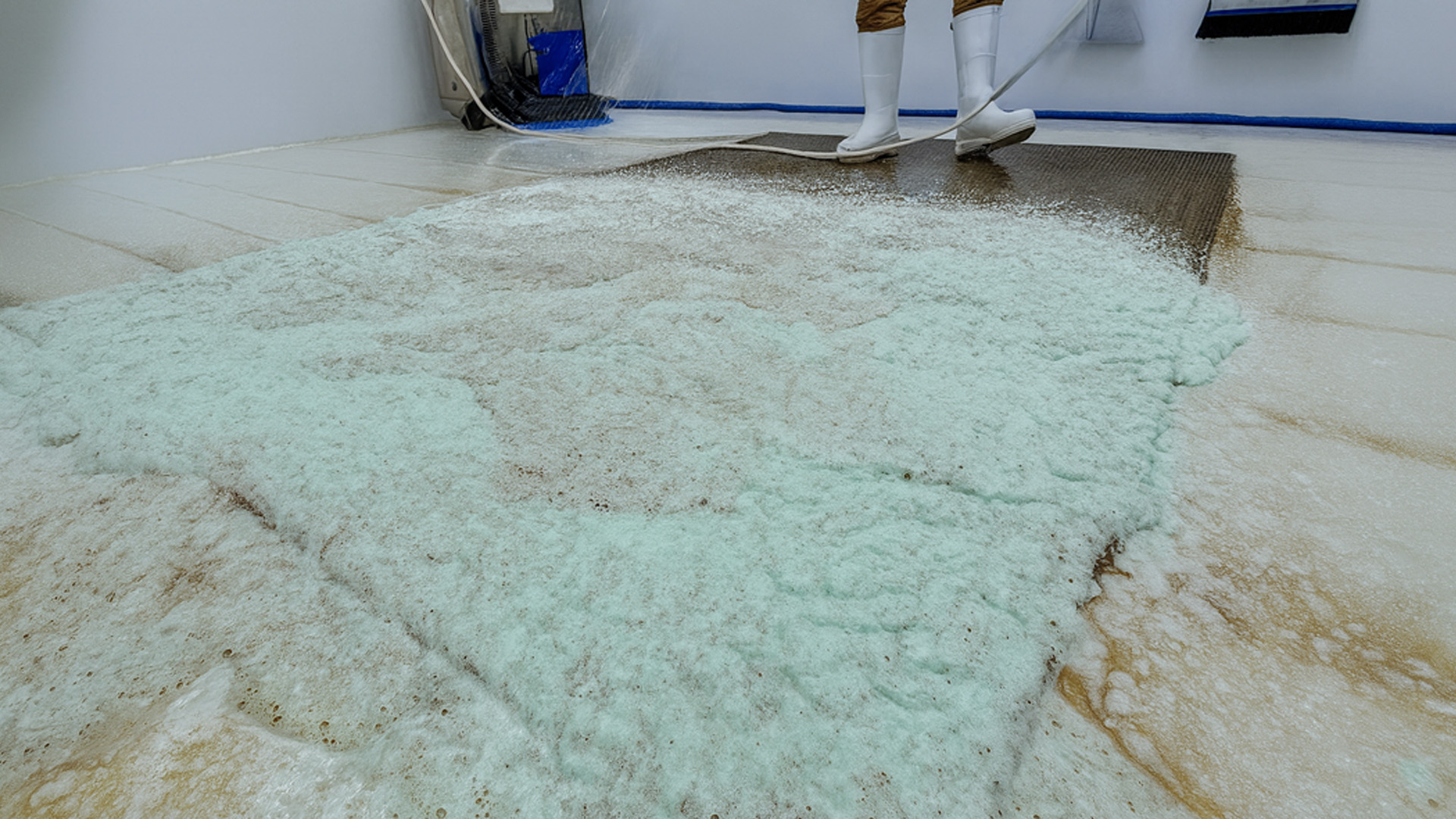 What pattern appears beneath this foam covered carpet?