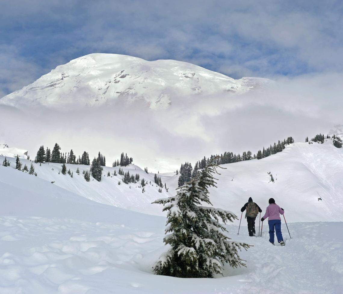 Visiting Mount Rainier this winter? Here's how to plan a safe trip to ...
