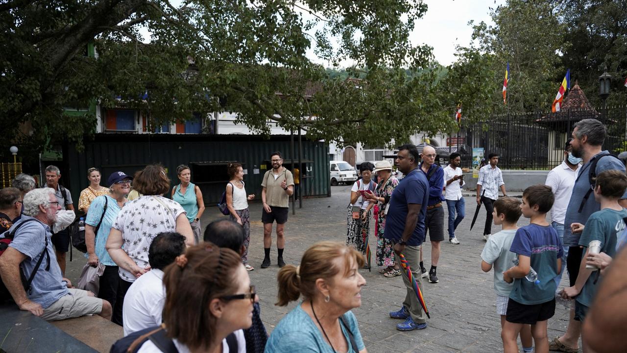 Winter blossoms transform China’s Wuliang Mountain into a sea of pink ...