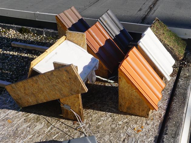 Würmtaler Umweltpreis: Lina Klinger will mit weißen Dächern die ...