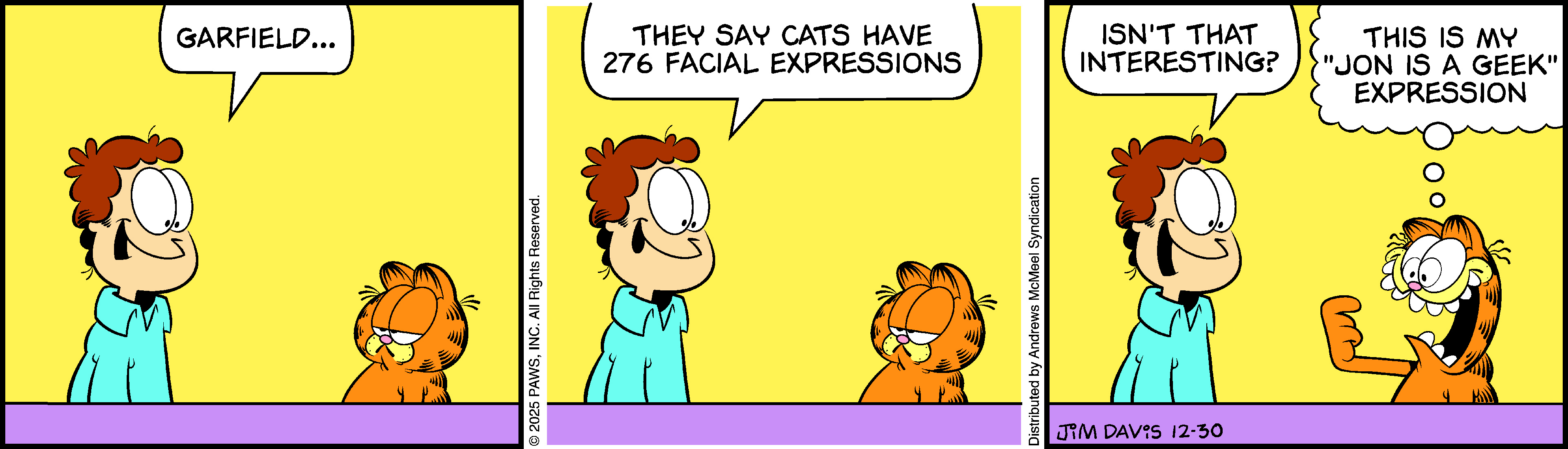 Garfield by Jim Davis