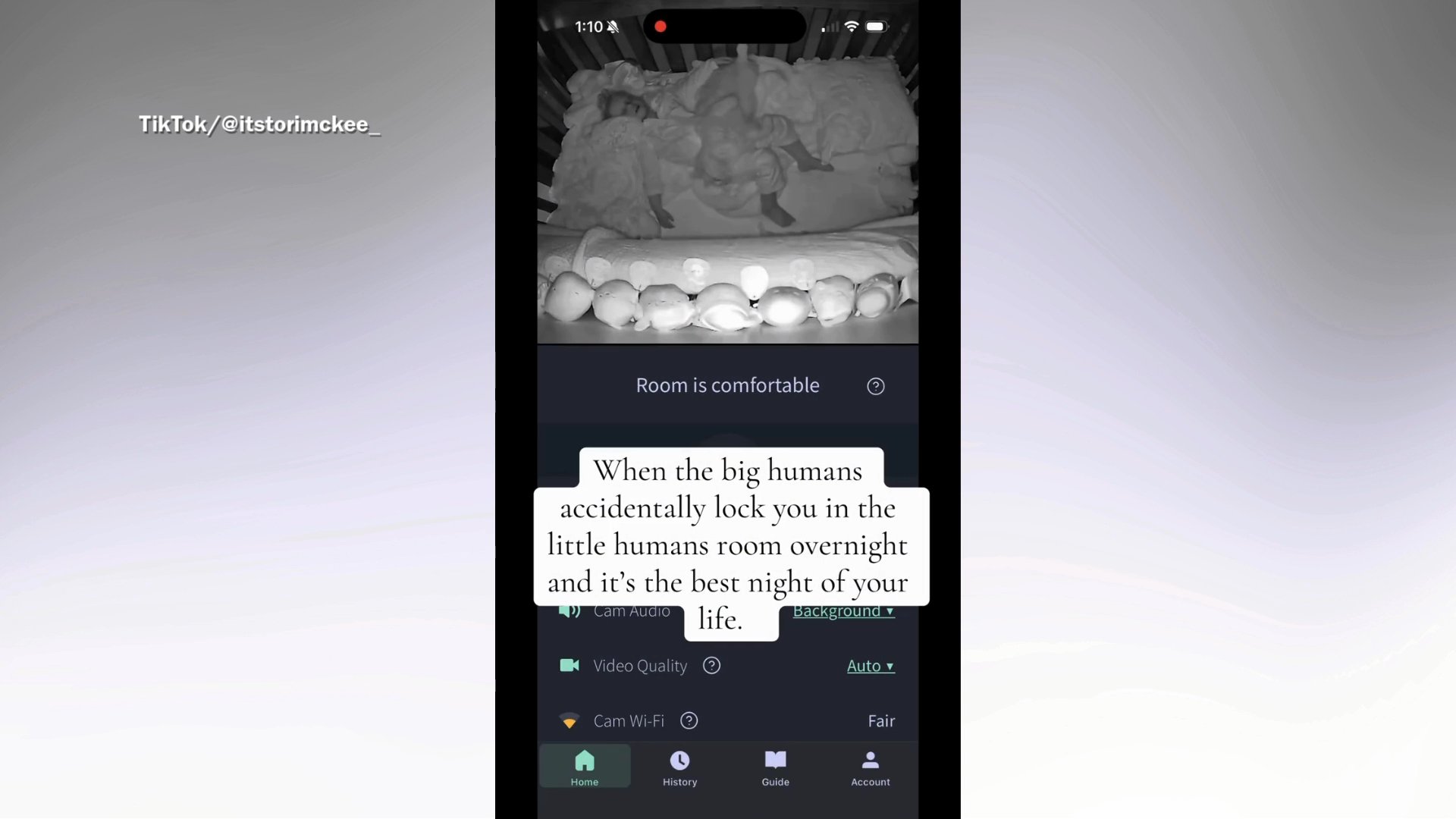 Cat mistakenly locked in toddler’s room, gets best sleep of her life