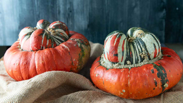 A comforting stuffed turban squash that looks fancy but isn’t
