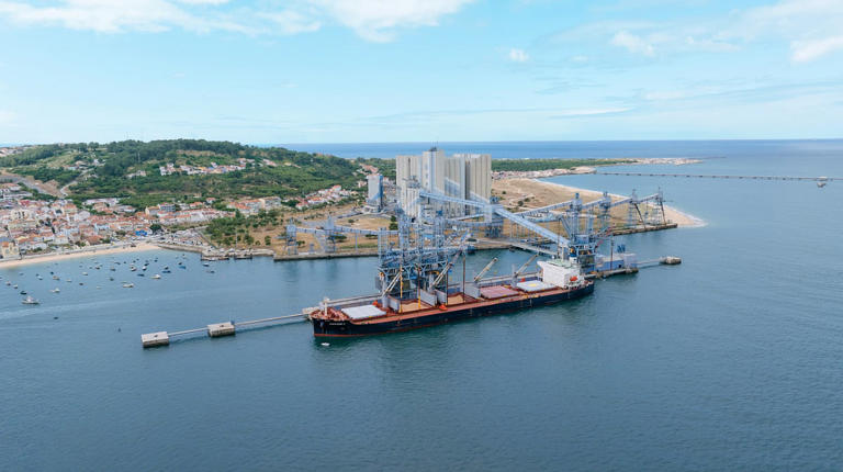 Privatização da TAP e venda da Logoplaste poderão ser os negócios do ano